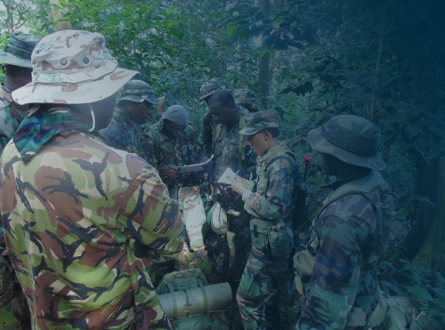 About Us | Regional Security System